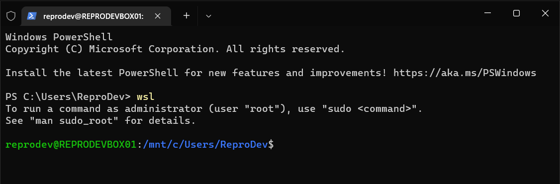 Get Started with Docker - Part 2b: Windows 11 Install Guide