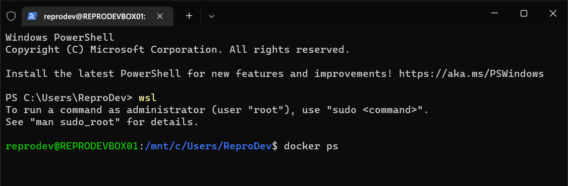 Get Started with Docker - Part 2b: Windows 11 Install Guide