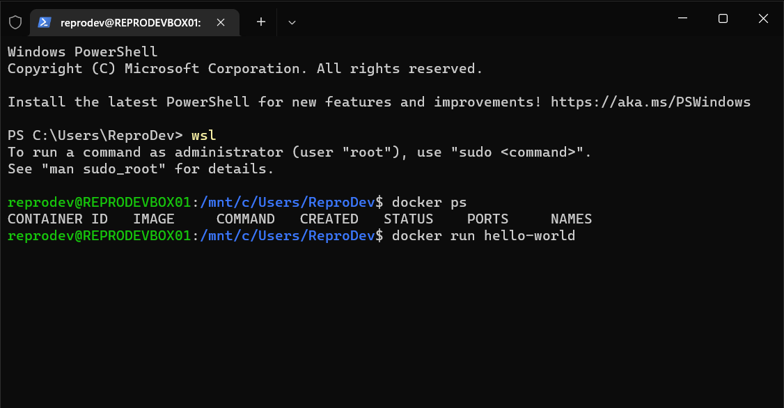 Get Started with Docker - Part 2b: Windows 11 Install Guide
