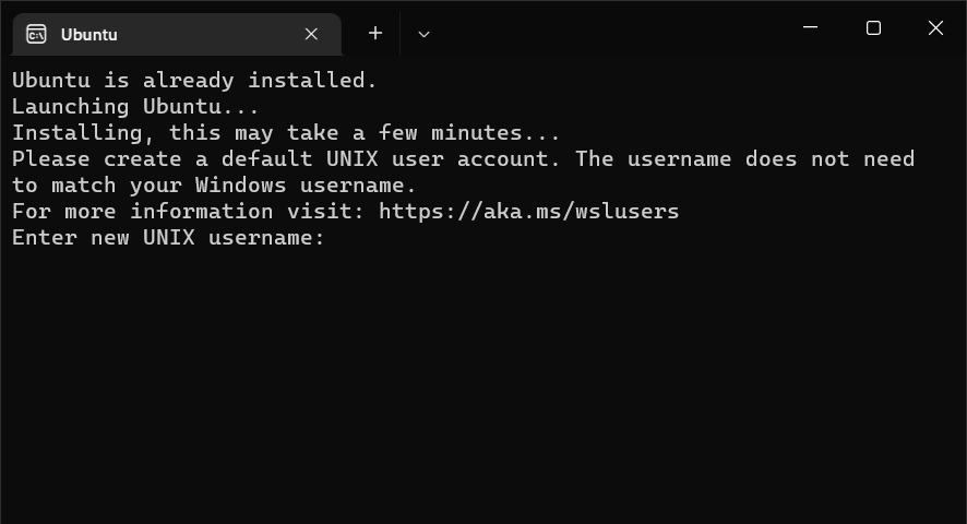 Get Started with Docker - Part 2b: Windows 11 Install Guide